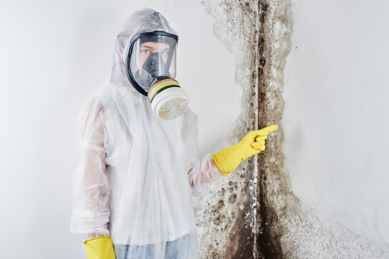 Hidden Signs of Mold Requiring Expert Removal